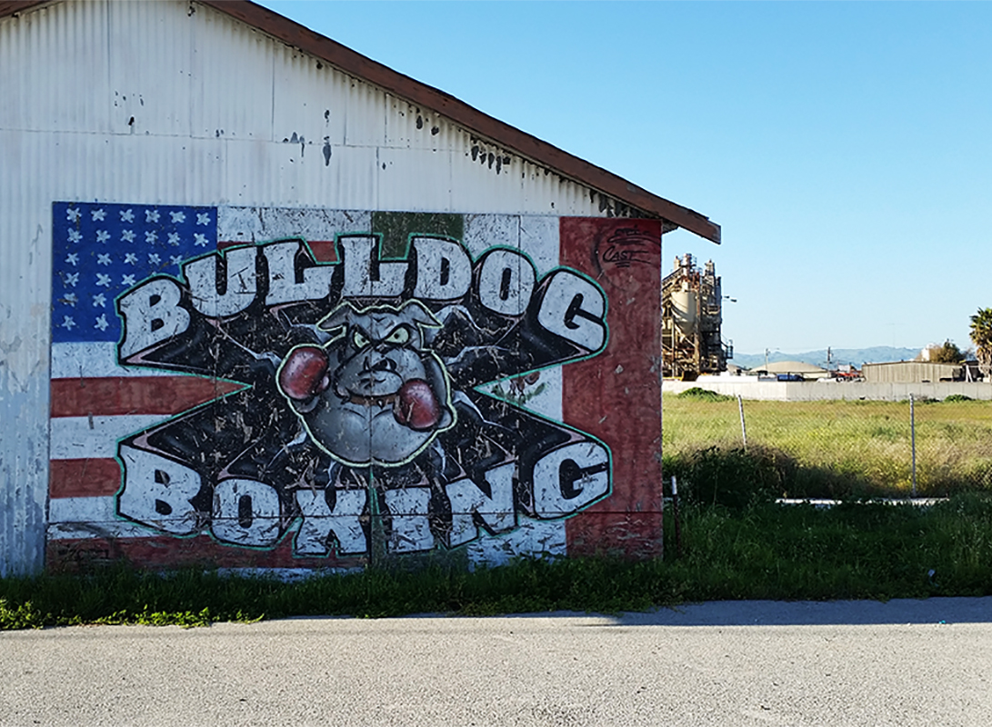 Grant to Bulldog Boxing Impacts Youth | BenitoLink