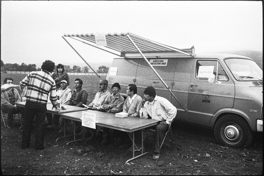 Democracy In The Fields: A Project Honoring California's Farmworkers ...