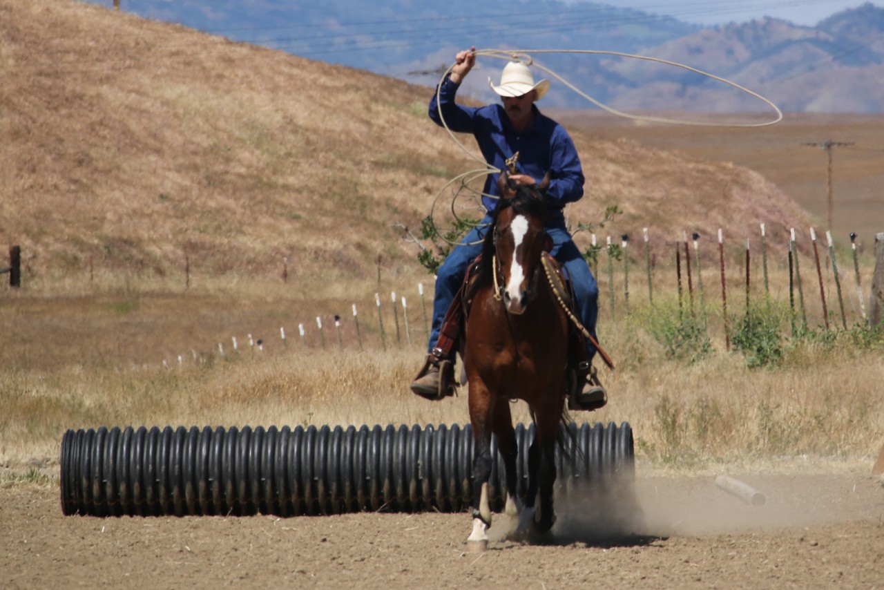 Cowboy race goes to the extreme | BenitoLink