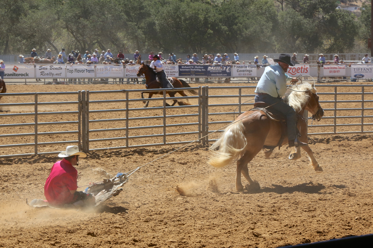 Saddle Horse Show entries due June 10 | BenitoLink