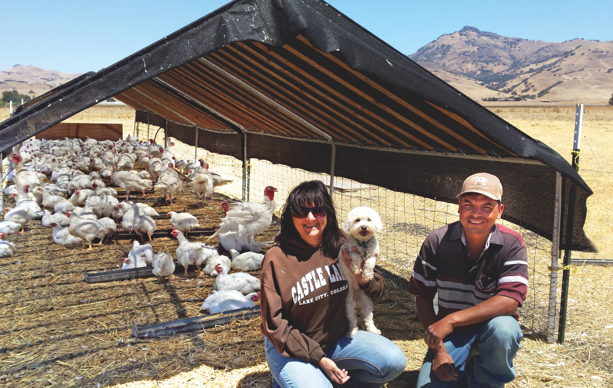 Pasture Chick Ranch Adventures (Part 2) | BenitoLink