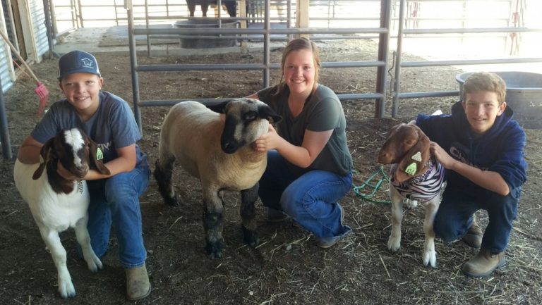 Students Say Raising 4-H Animals Is About More Than Livestock | BenitoLink