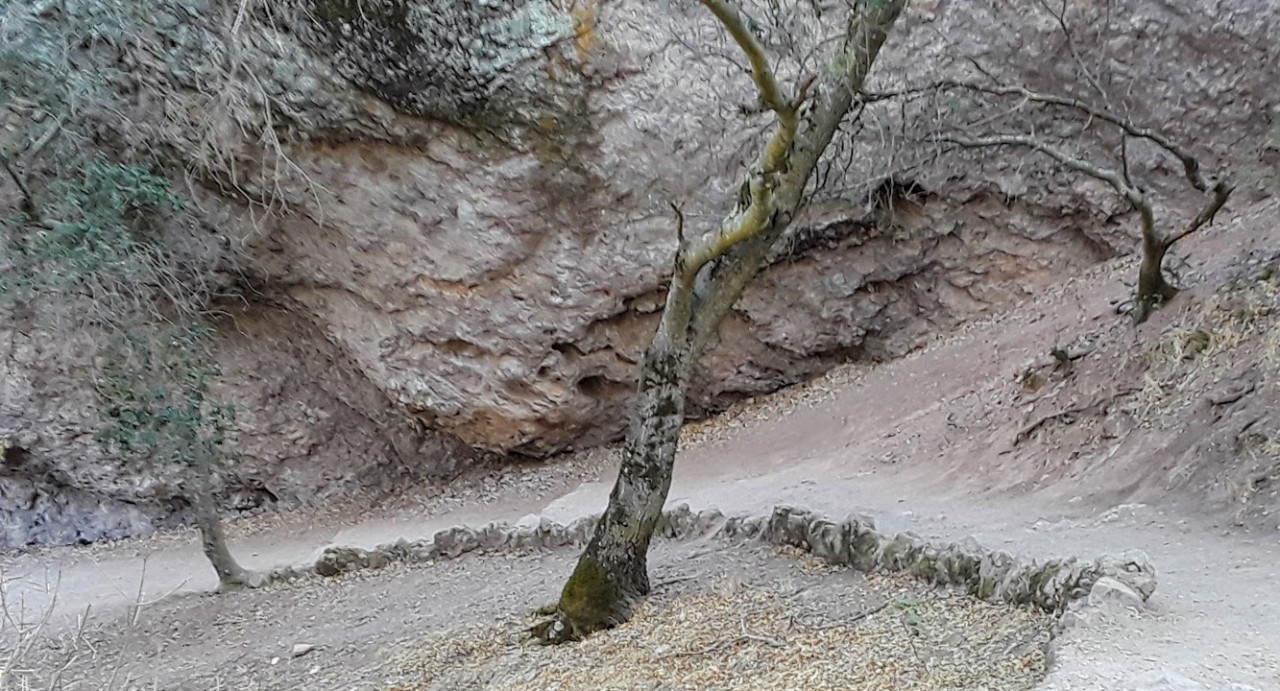 Walking San Benito: Pinnacles National Park Balconies Cave Trail ...