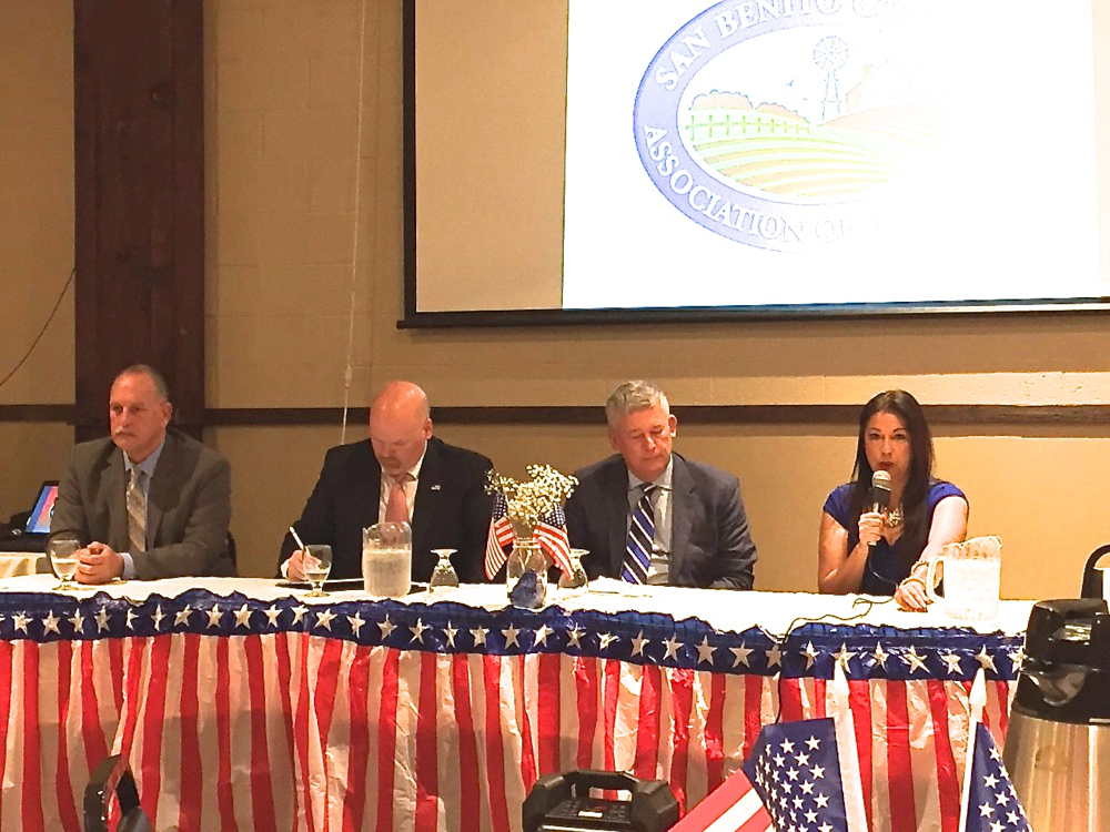 June election candidates talk taxes and cannabis | BenitoLink