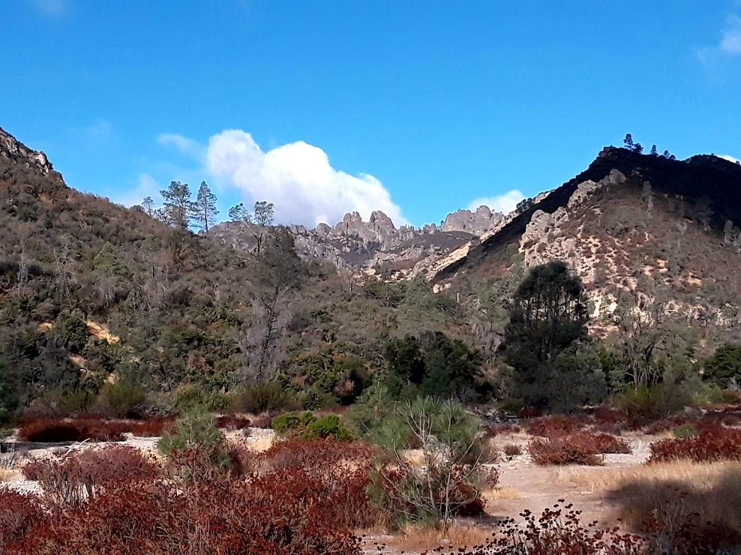 Walking San Benito: Ostdick's collection of San Benito's many walking ...