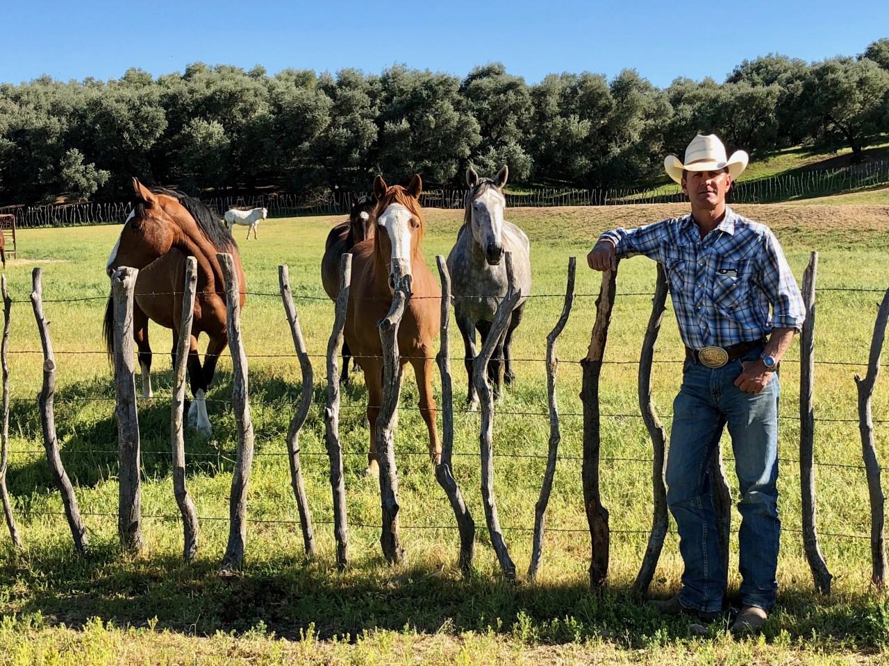 Rough stock contractors strive for the eight-second ride | BenitoLink