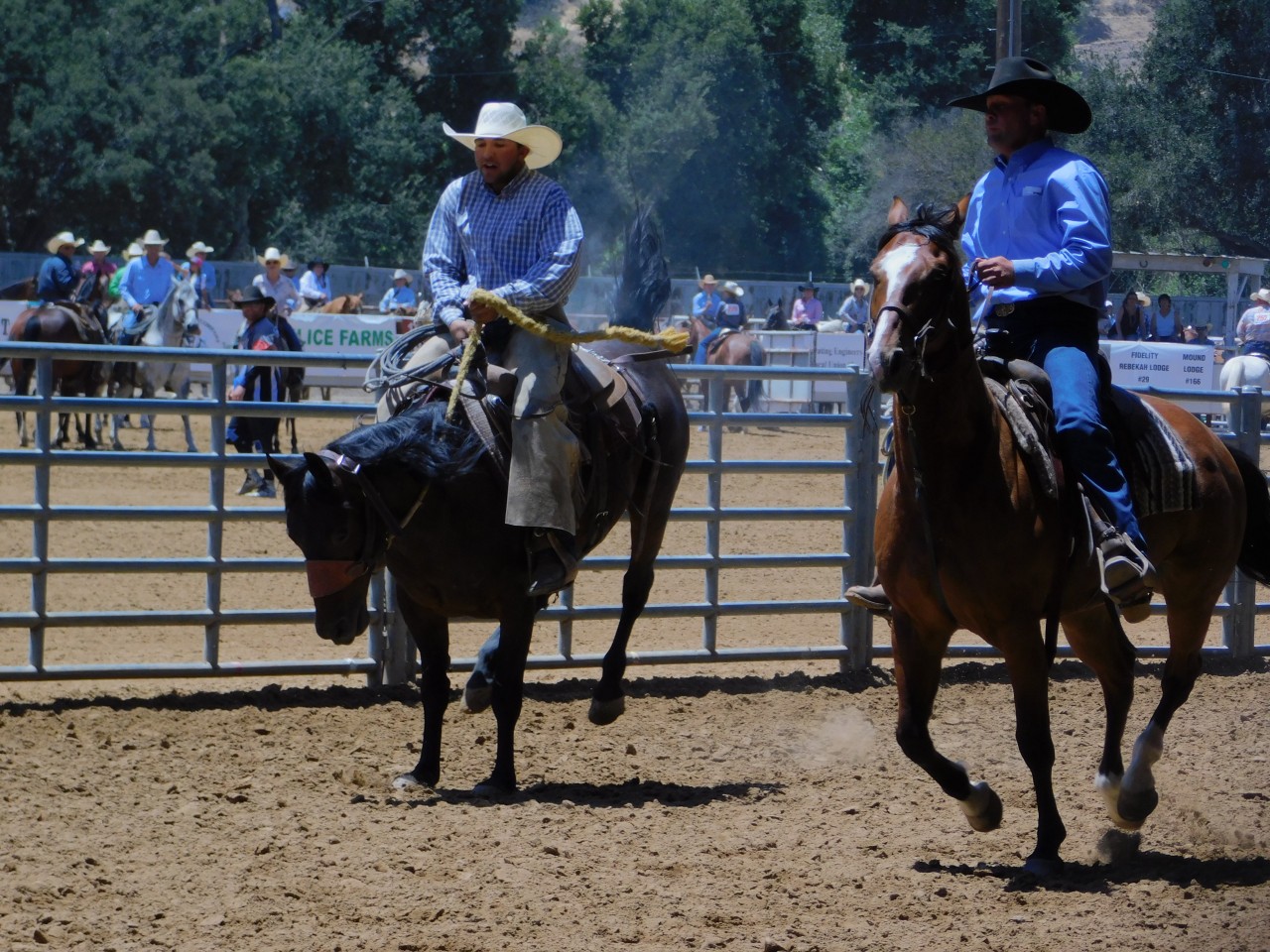 San Benito County Rodeo Traditions Ride On | BenitoLink