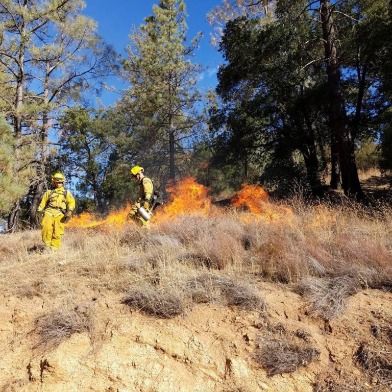 Prescribed burn planned for San Benito County | BenitoLink
