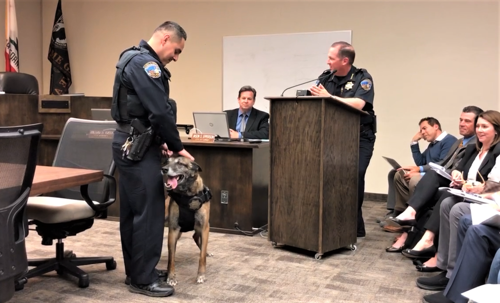 K-9 Officer Freeze retires | BenitoLink
