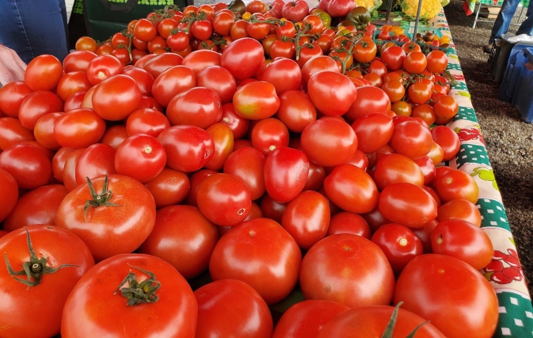 Swank Farms holds outdoor farmers market | BenitoLink