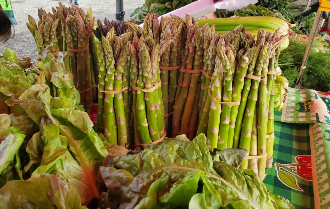 Swank Farms holds outdoor farmers market | BenitoLink