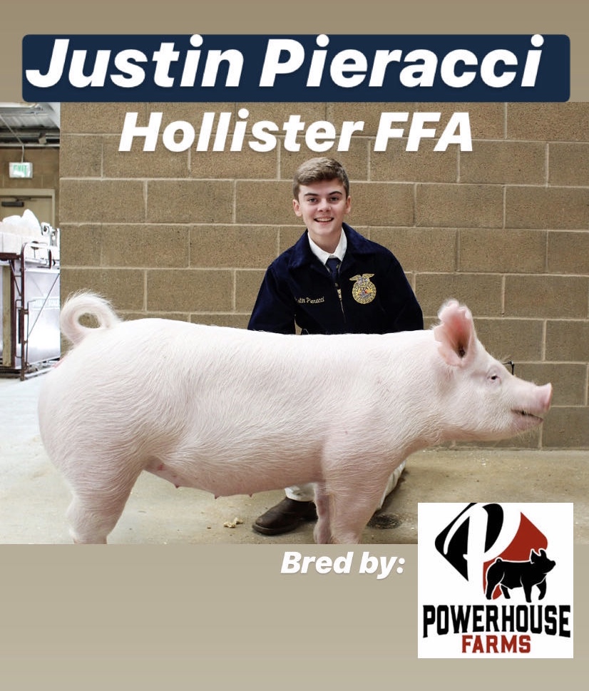 Hollister FFA success at Salinas Valley Fair | BenitoLink