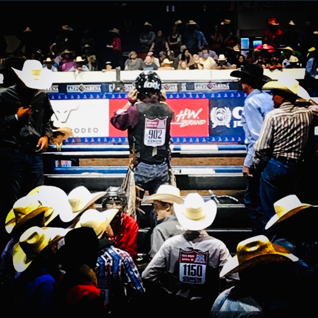 Three Hollister teens represent California at national rodeo finals ...