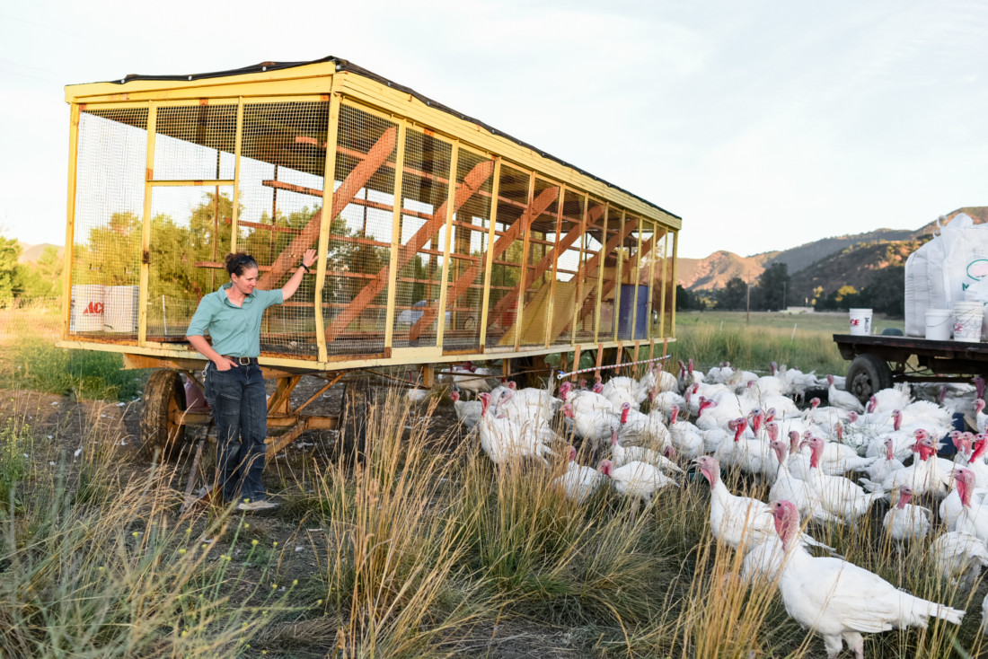 San Benito Agricultural Land Trust encourages residents to support ...