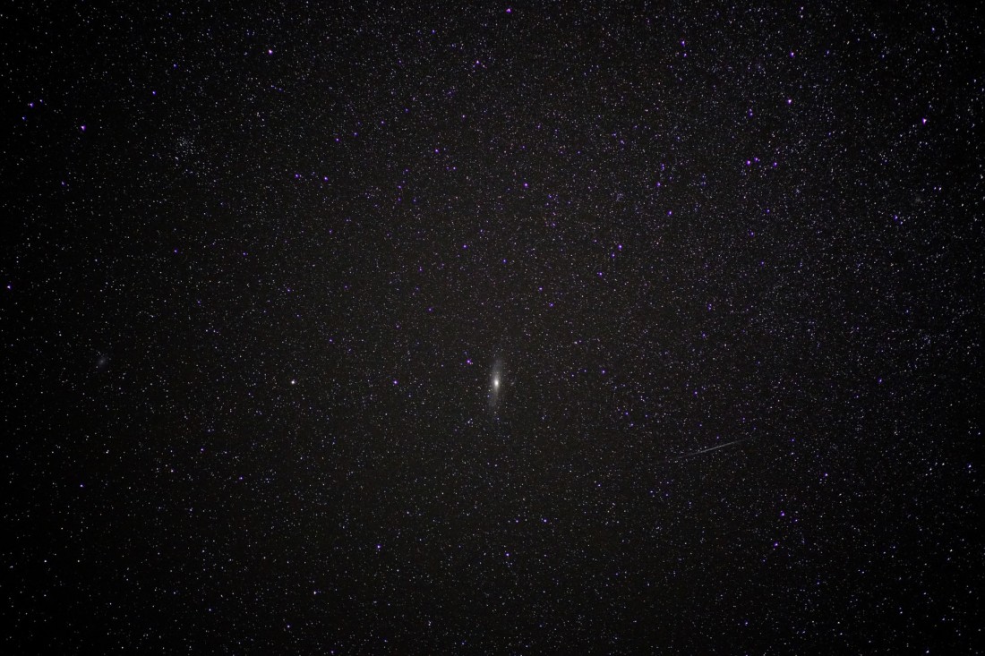 Constellation of the Month: the Christmas tree | BenitoLink