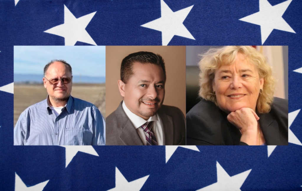 Primary Election 2022: 18th Congressional District | BenitoLink