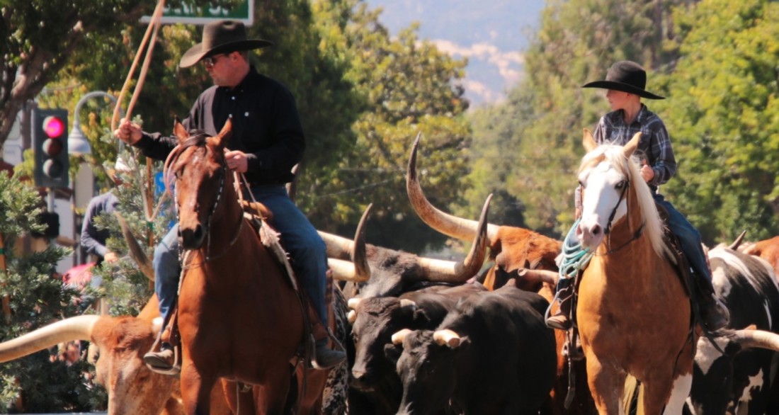 The Saddle Horse Show and Rodeo Parade celebrates Americana and Western ...