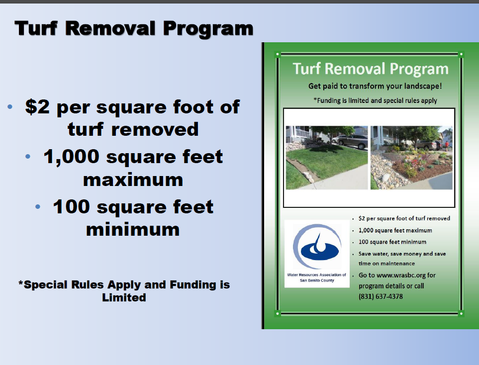 Q&A: SBC water conservation manager discusses enforcement, fines ...