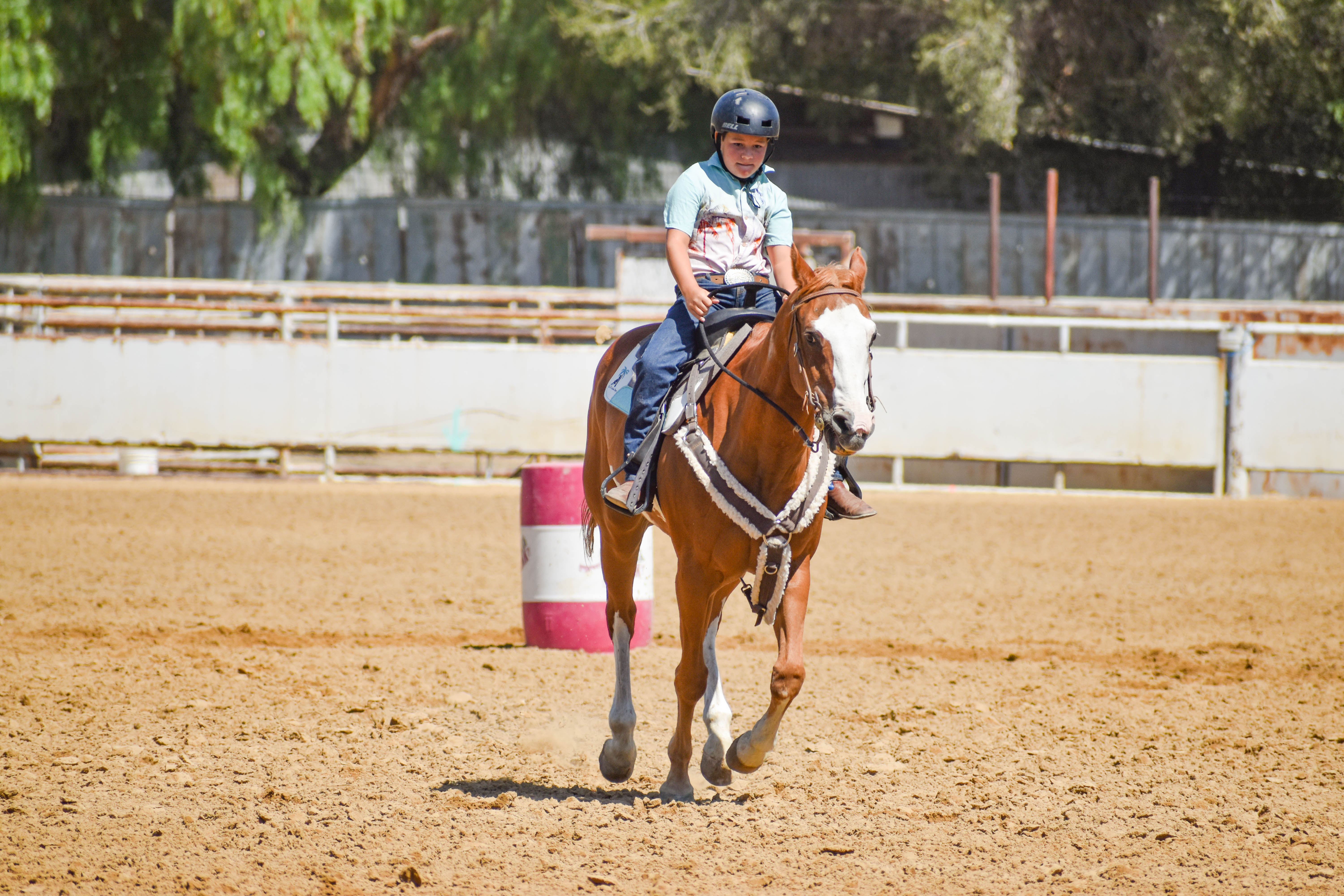 Bolado Park hosts 48th Gymkhana Association State Finals | BenitoLink