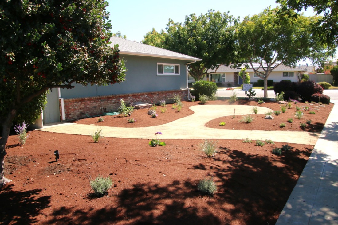 Residents showing minimal interest in landscape removal program | BenitoLink