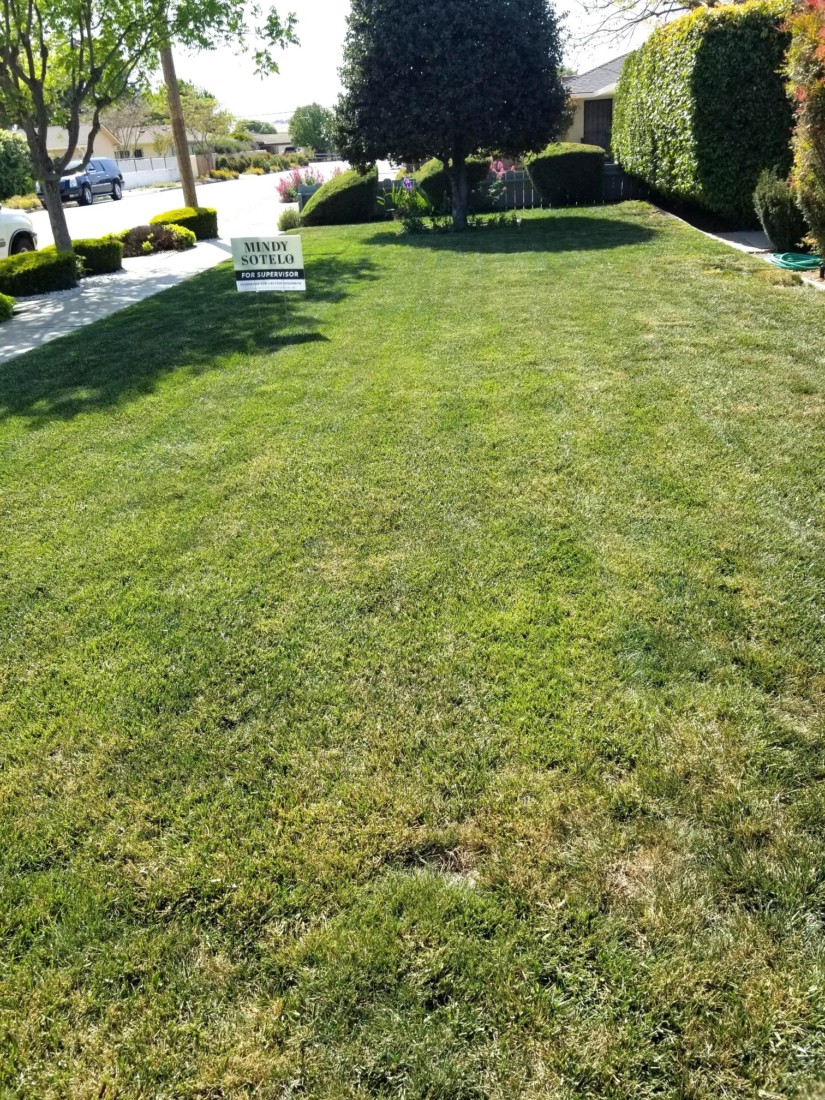 Residents showing minimal interest in landscape removal program ...